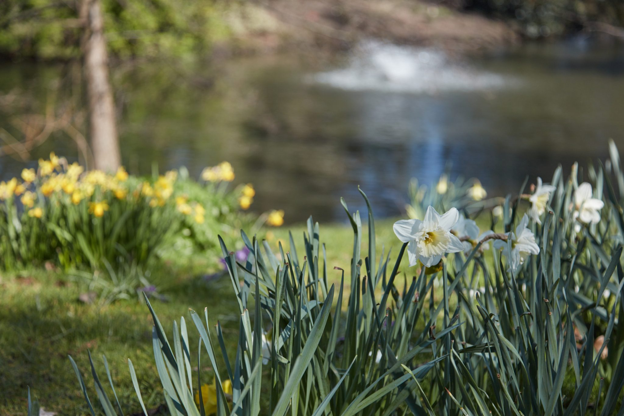 The Stables – Mill Co.