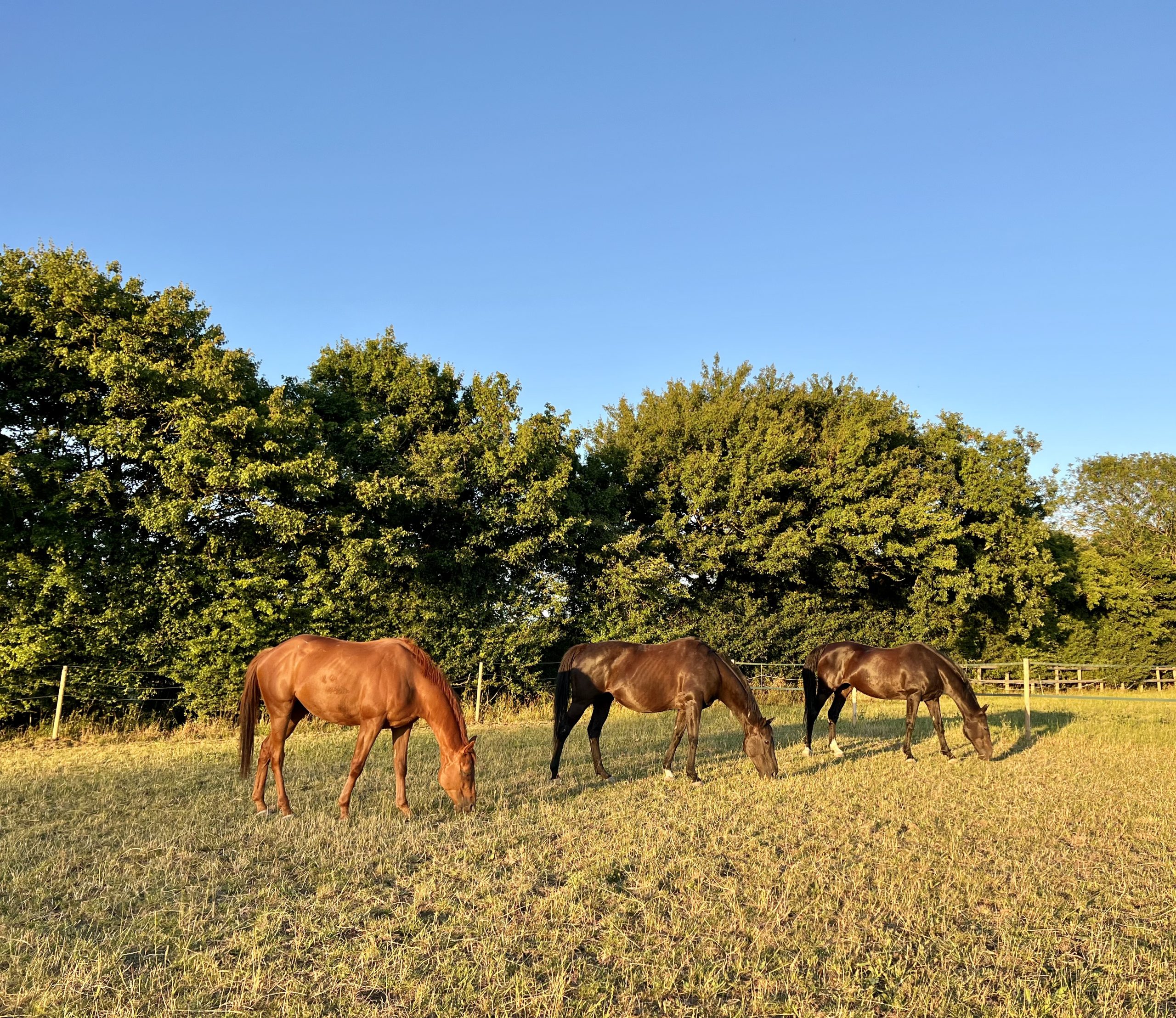 Mill Co. – Space to Create